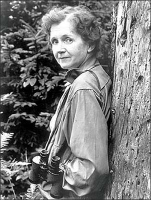 The Forgotten Legacy of Rachel Carson – Nick Engelfried